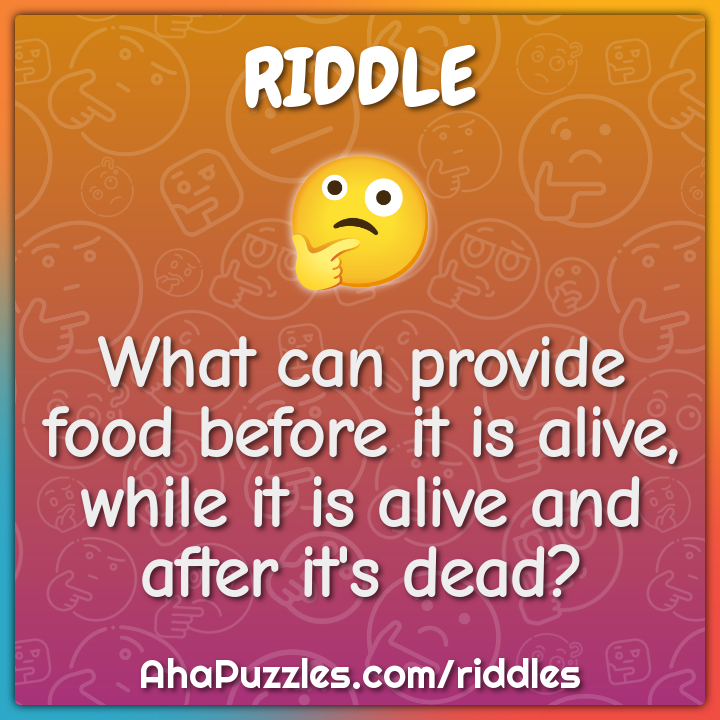 What can provide food before it is alive, while it is alive and after ...